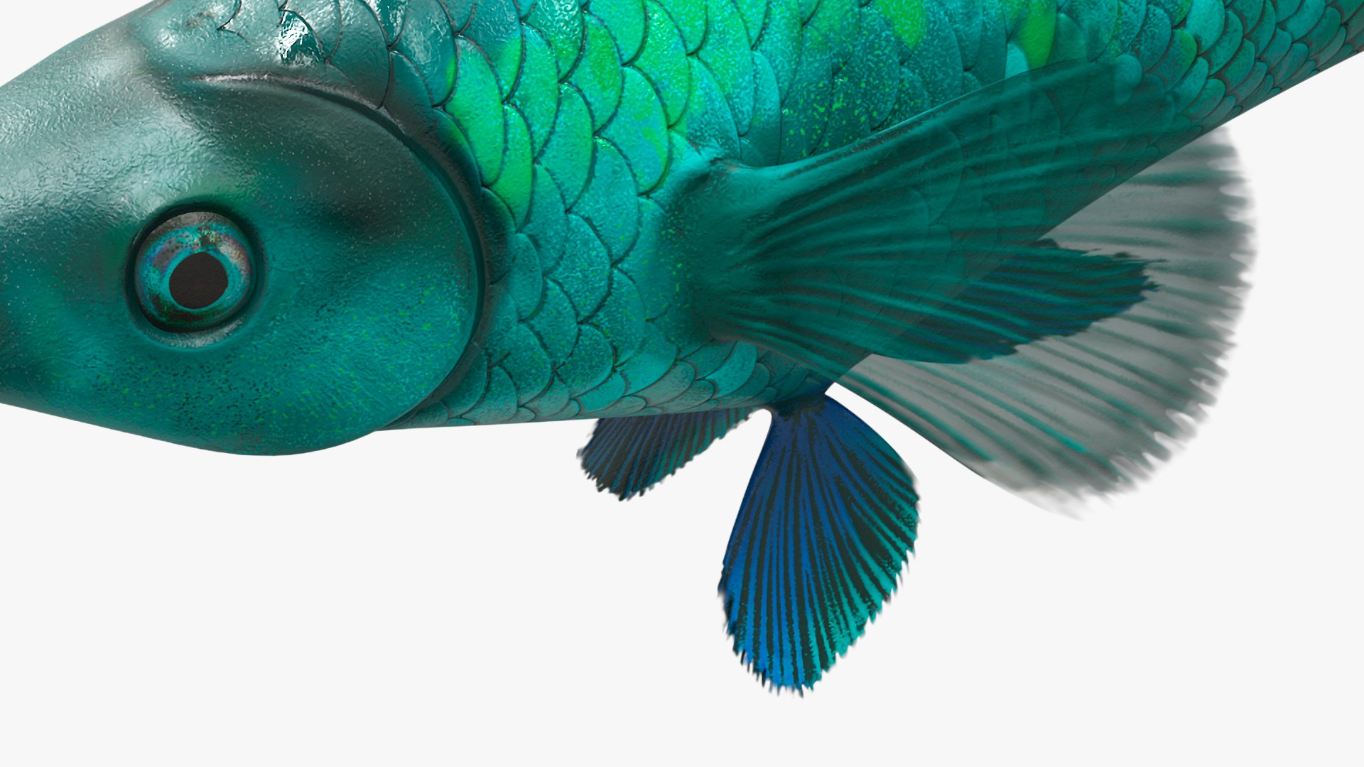Guppy Fish Malachite 3D Model - TurboSquid 2274185