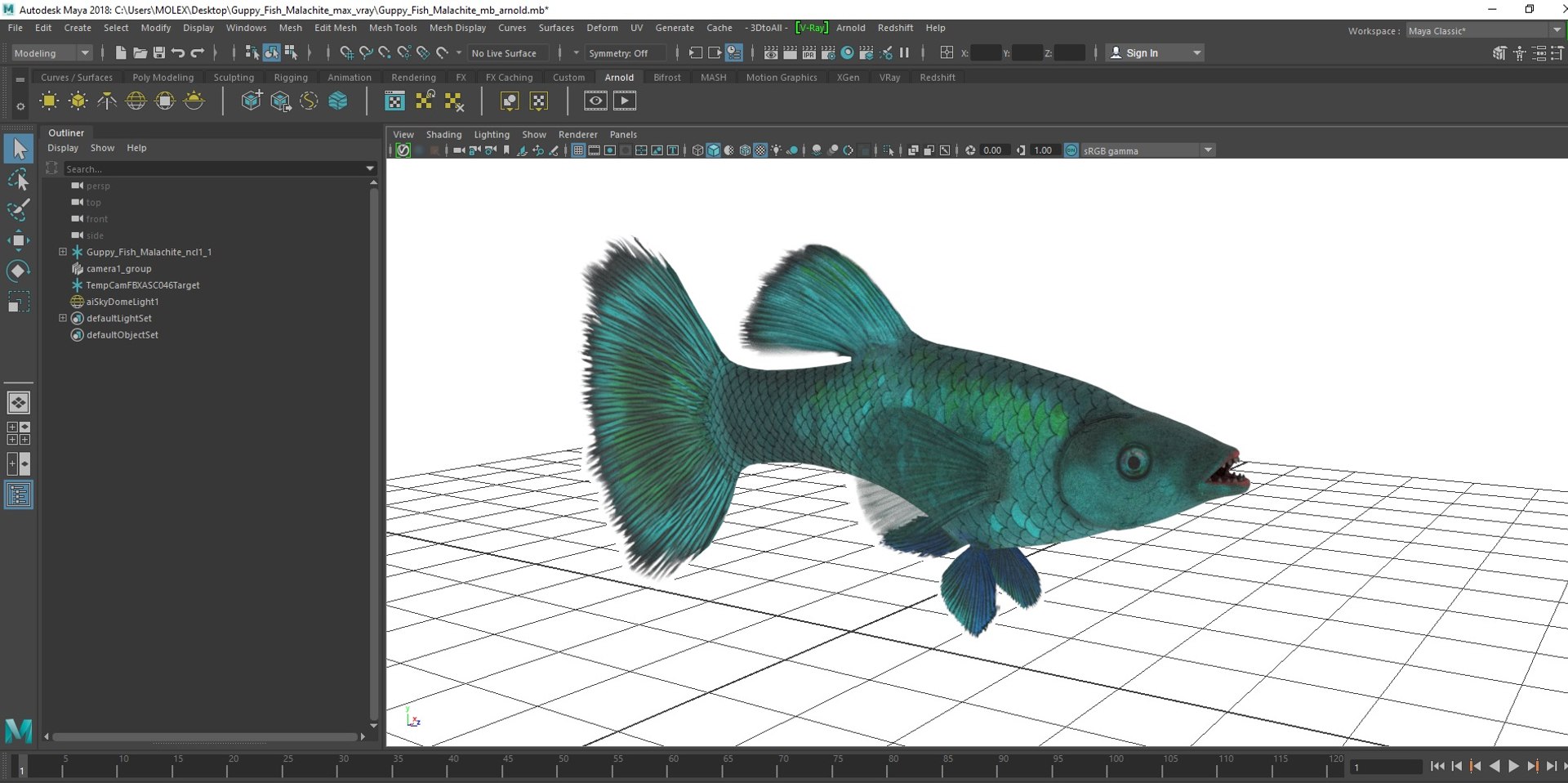Guppy Fish Malachite 3D Model - TurboSquid 2274185