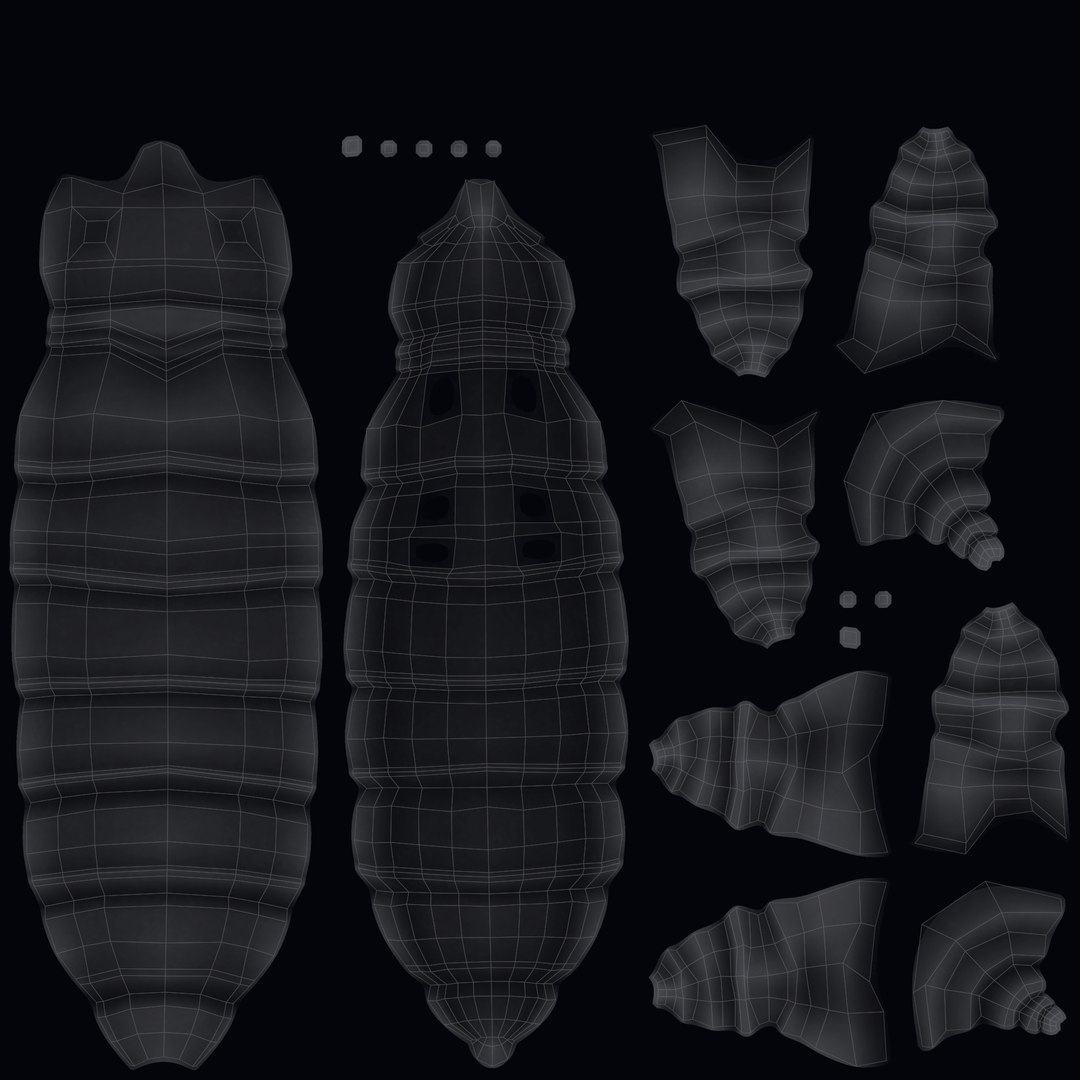Snow Flea 3D Model - TurboSquid 1500328