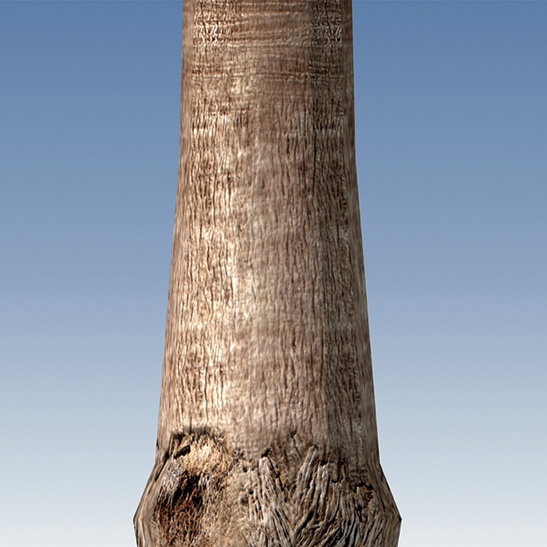 3d Palm Tree Model