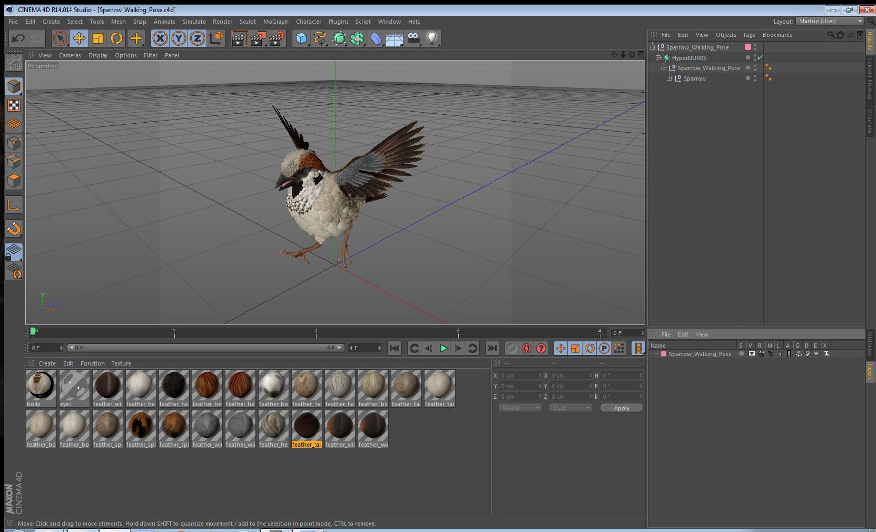 3D sparrow walking pose - TurboSquid 1382079