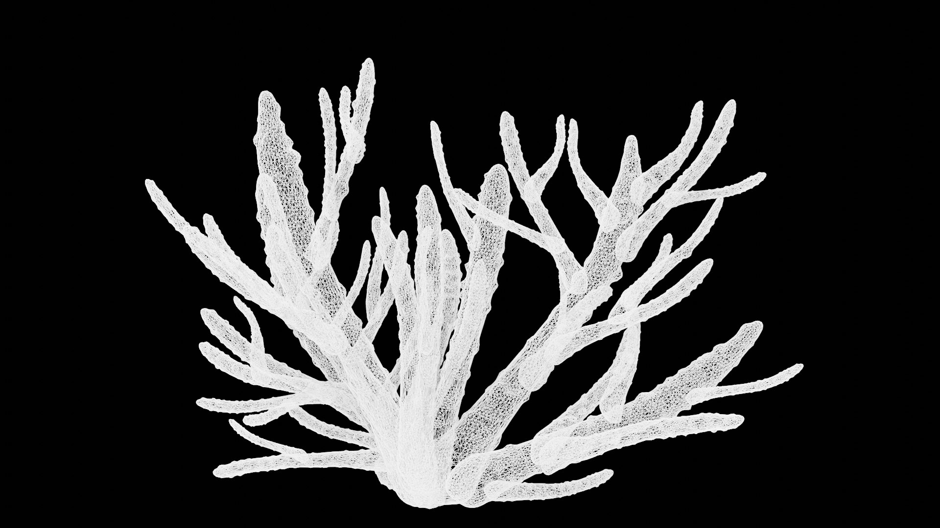 3D Finger Coral Reef Model - TurboSquid 1825393