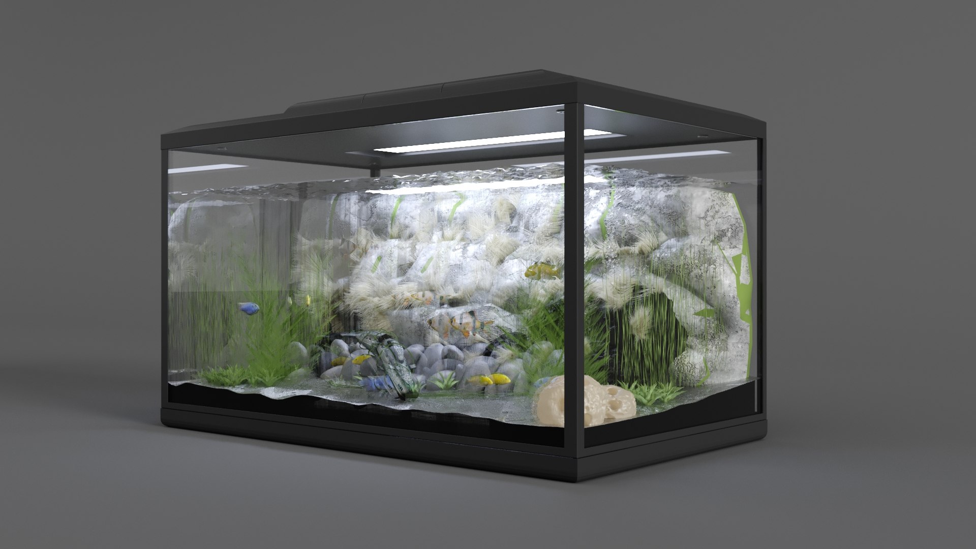 3D Compact Home Aquarium - Miniature Aquatic Ecosystem Model - 2 ...