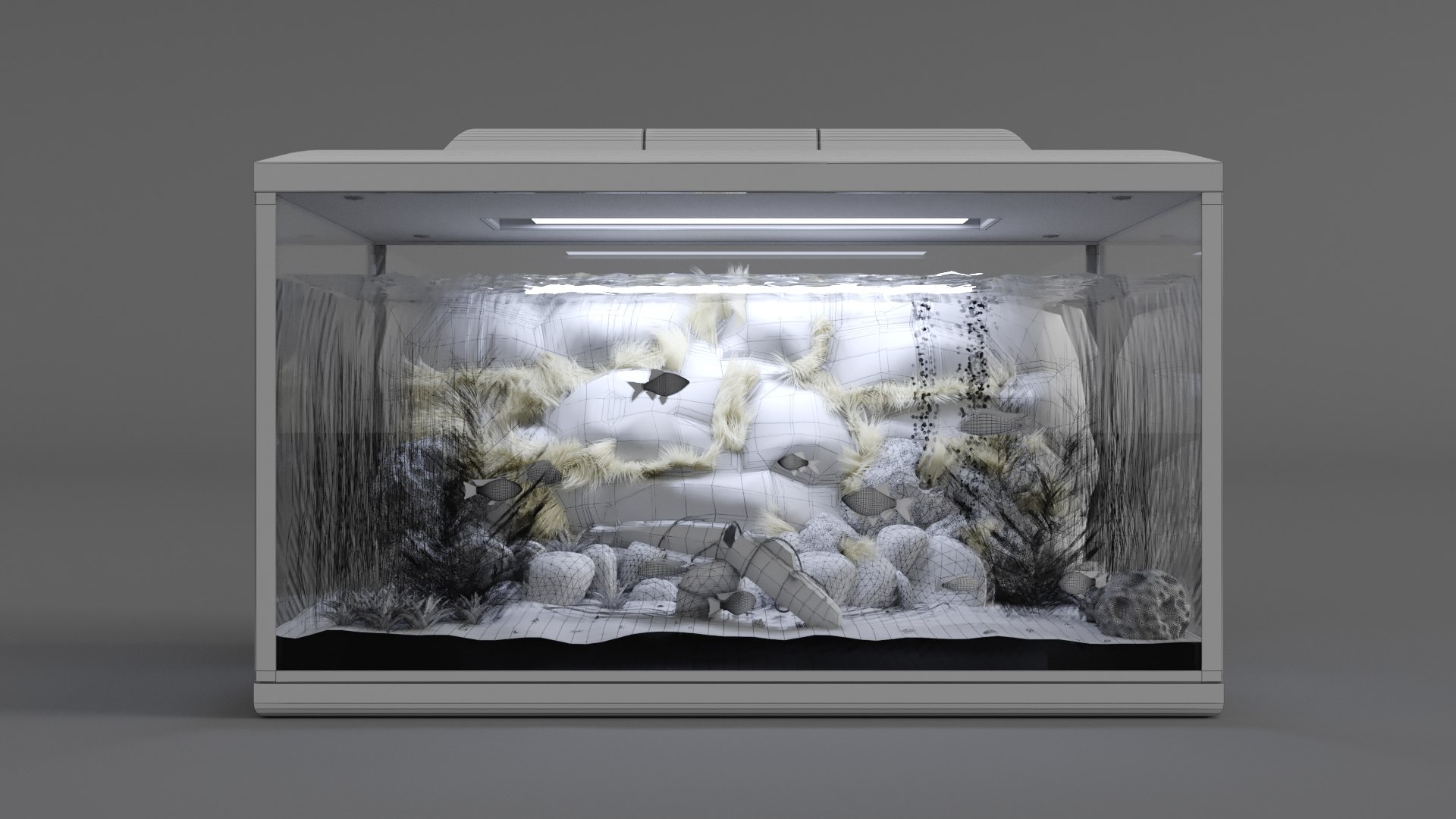 3D Compact Home Aquarium - Miniature Aquatic Ecosystem Model - 2 ...