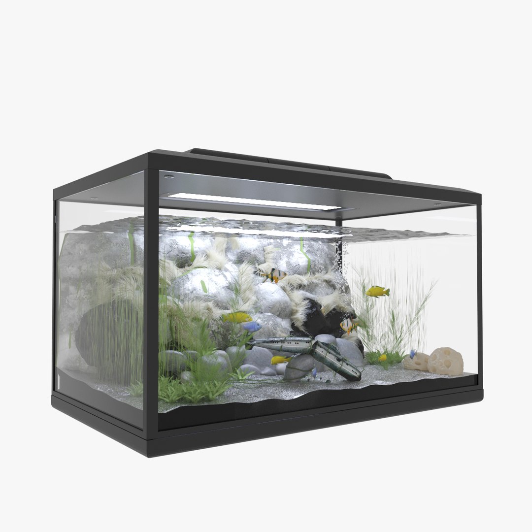 3D Compact Home Aquarium - Miniature Aquatic Ecosystem Model - 2 ...