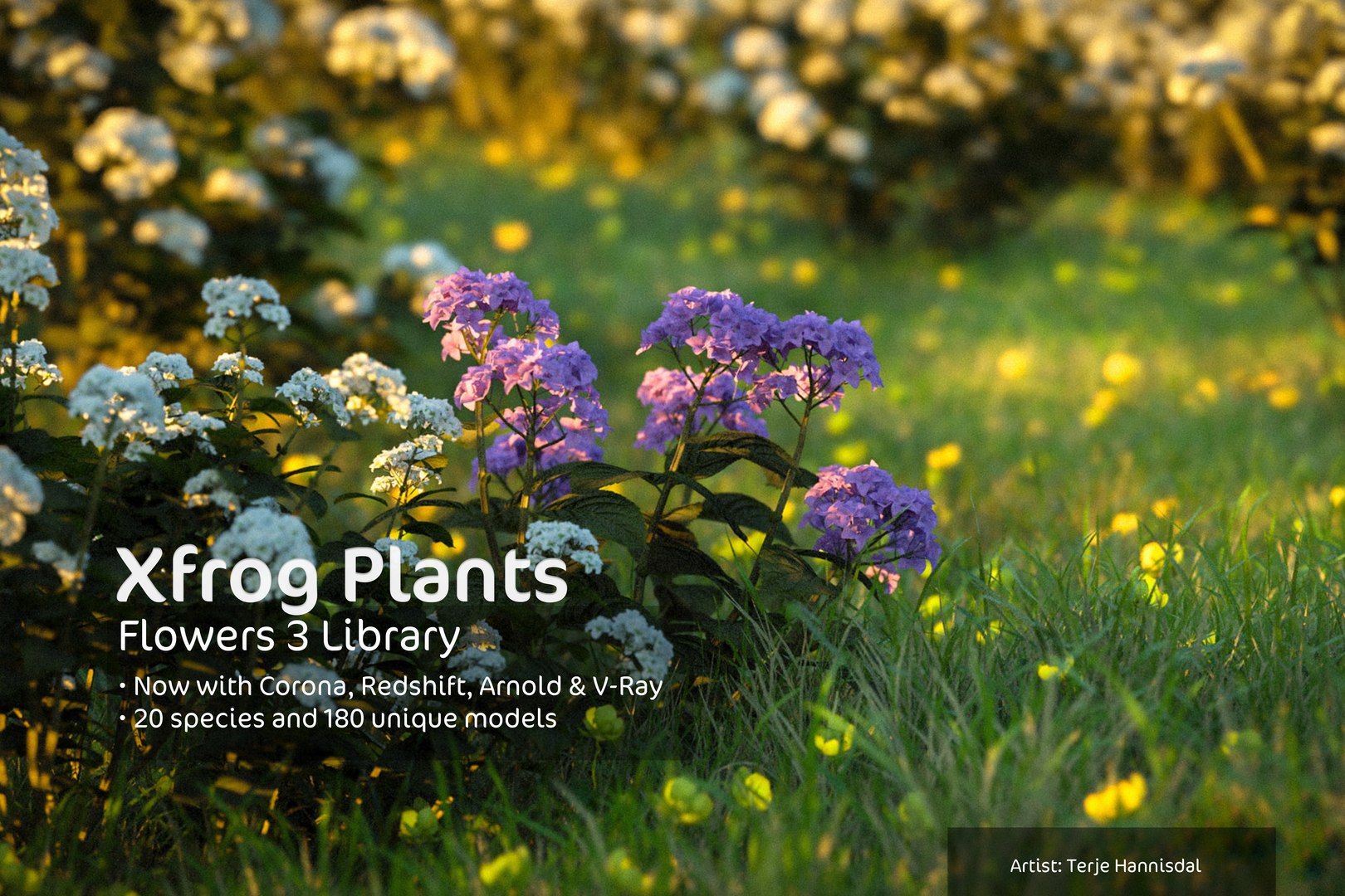 flowers 3 plant xfrogplants 3d model