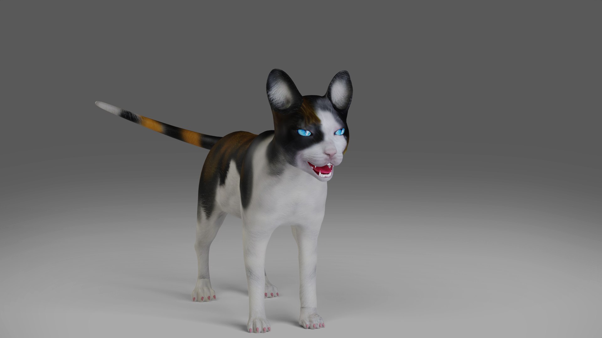 3D Model Calico Cat Rigged And Animated - TurboSquid 1984698