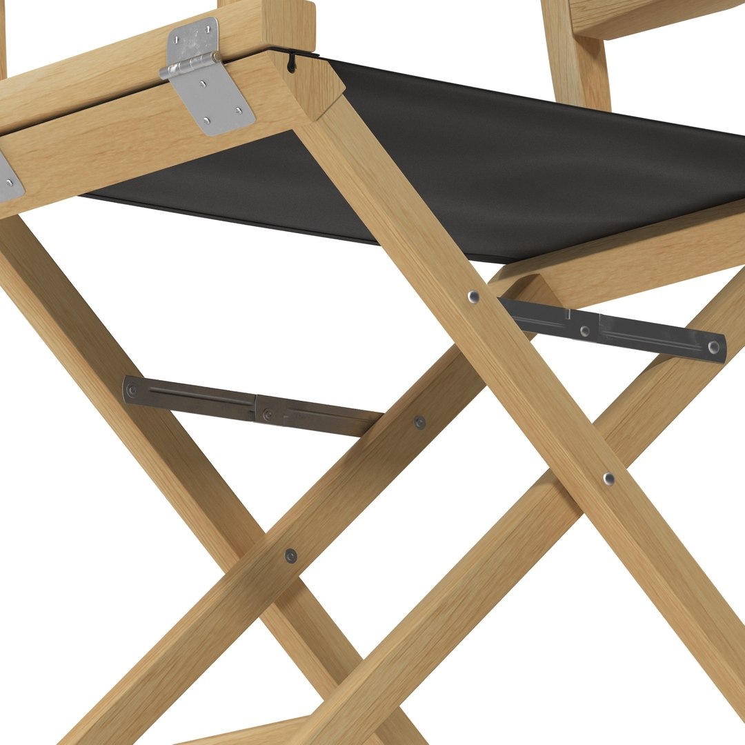 3d director chair model