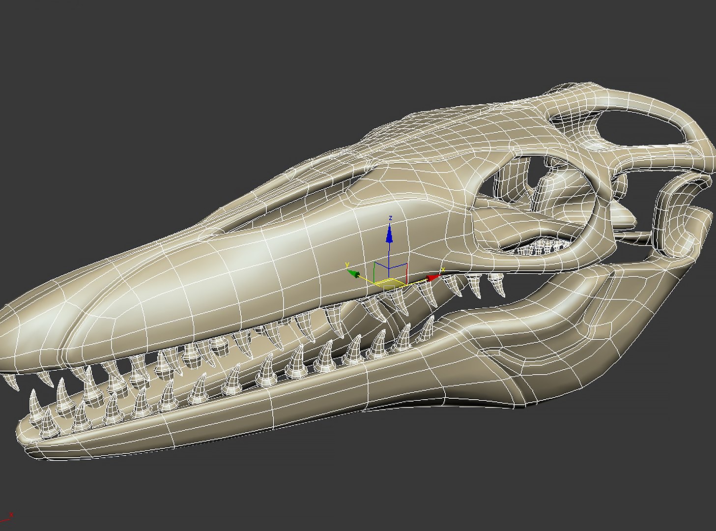 Mosasaurus Skeleton Model - TurboSquid 1228674