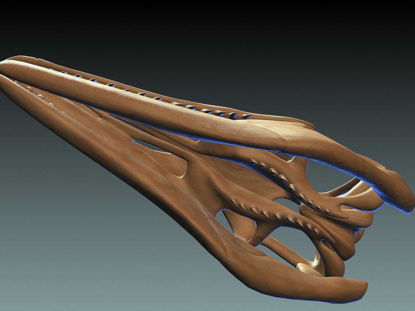 Mosasaurus Skeleton Model - TurboSquid 1228674