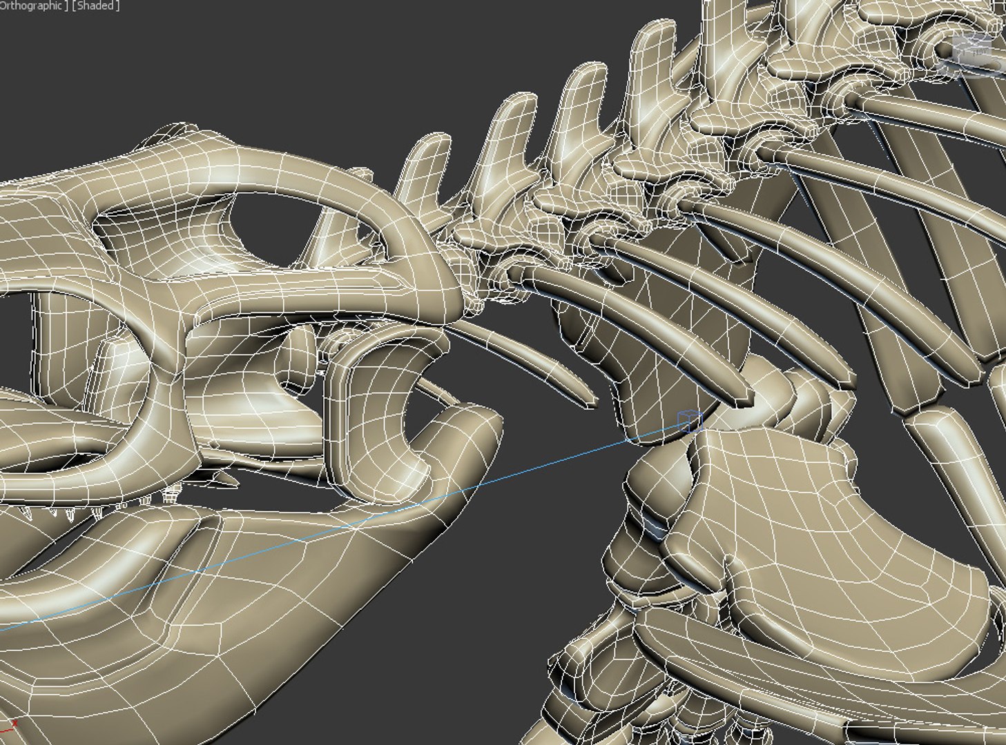 Mosasaurus Skeleton Model - TurboSquid 1228674