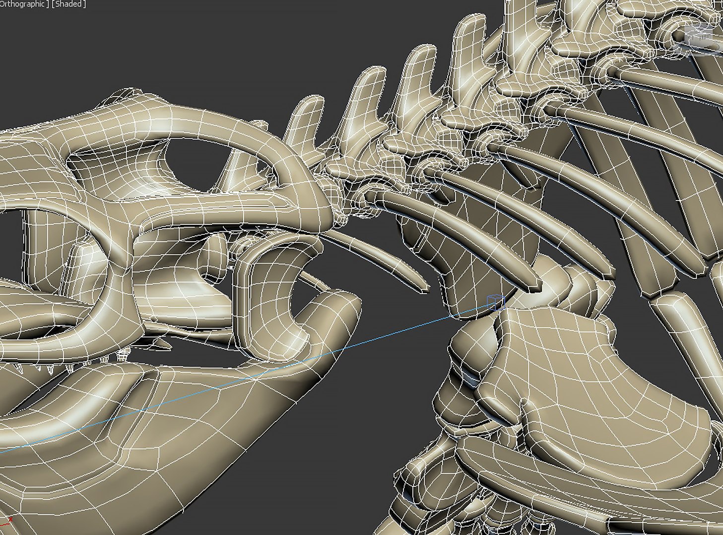 Mosasaurus Skeleton Model - TurboSquid 1228674