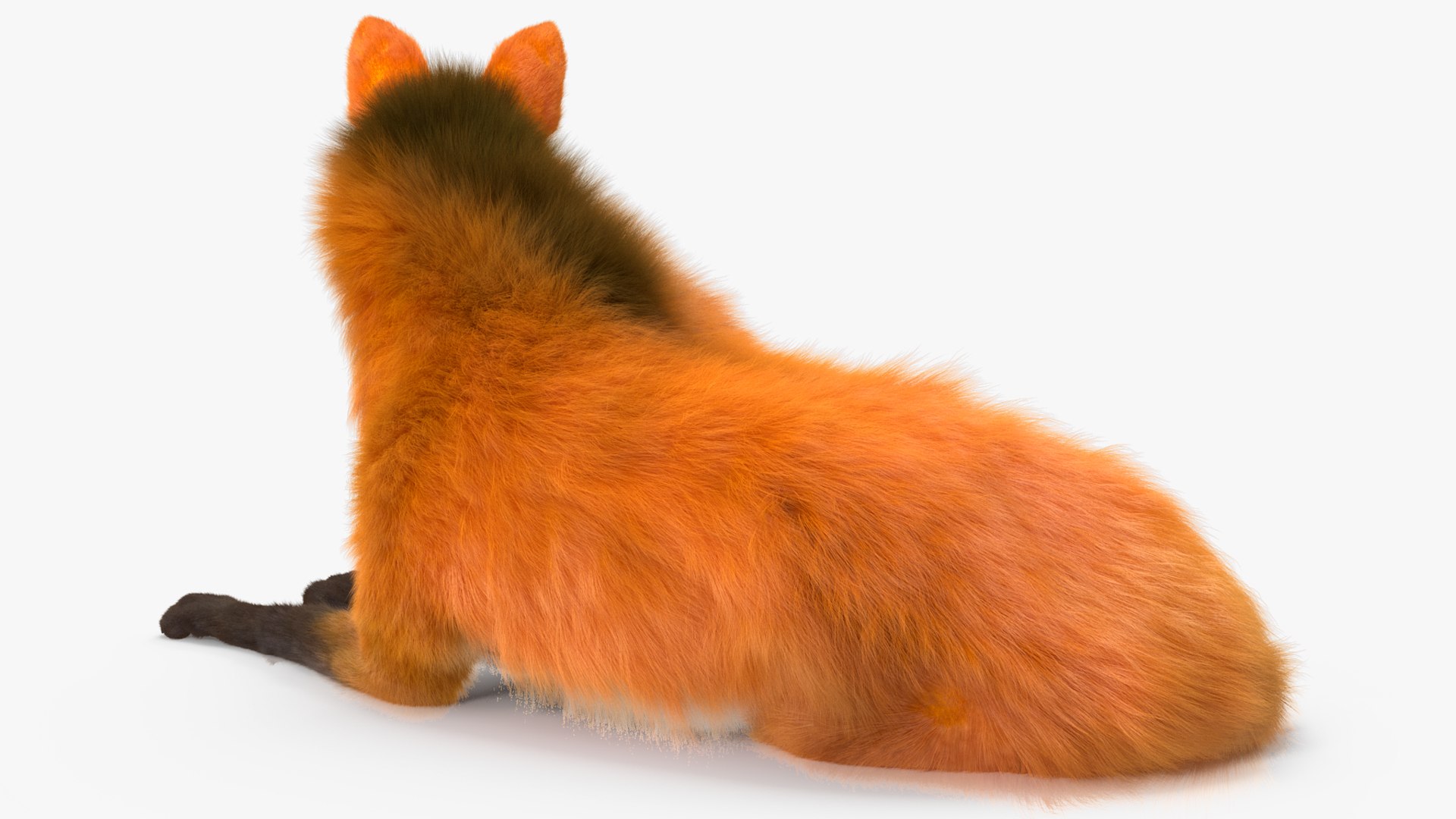 Maned Wolf Reclining Pose Fur 3D Model - TurboSquid 2201860