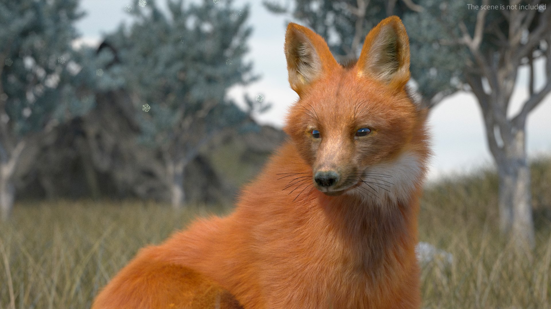 Maned Wolf Reclining Pose Fur 3D Model - TurboSquid 2201860