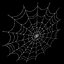 3d Spiderweb 02