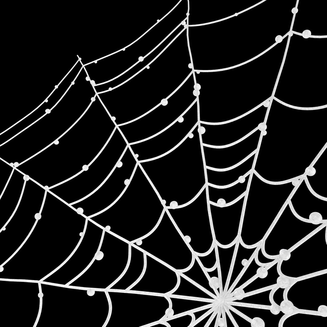 3d Spiderweb 02