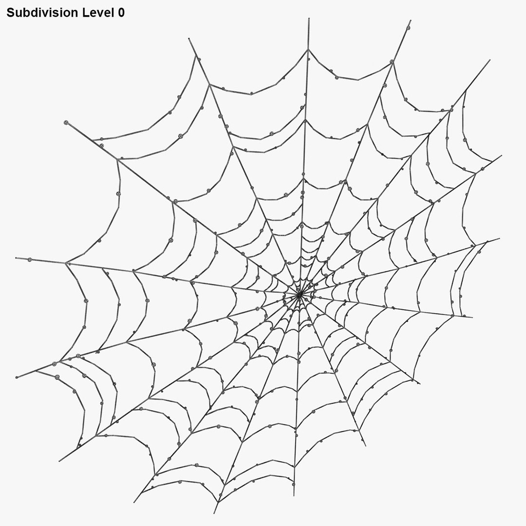 3d Spiderweb 02