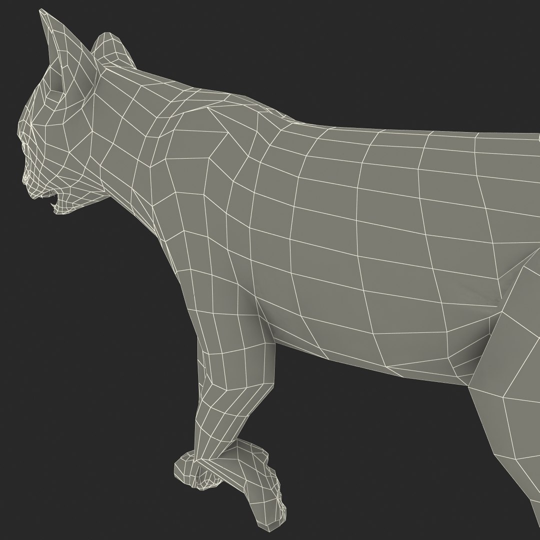 cat 3 pose 1 3d 3ds