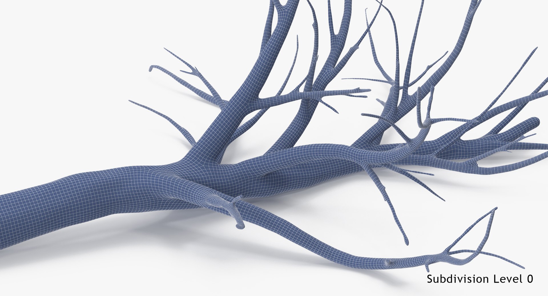 Fallen Logs Oak 02 C4d