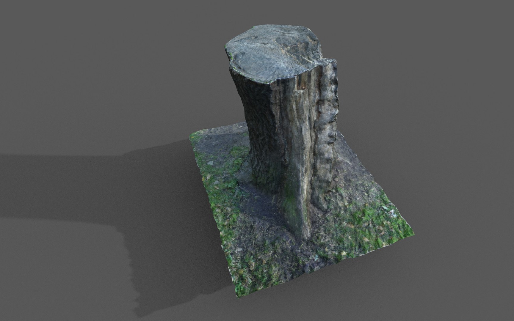 Tree Stump Model - TurboSquid 1631966