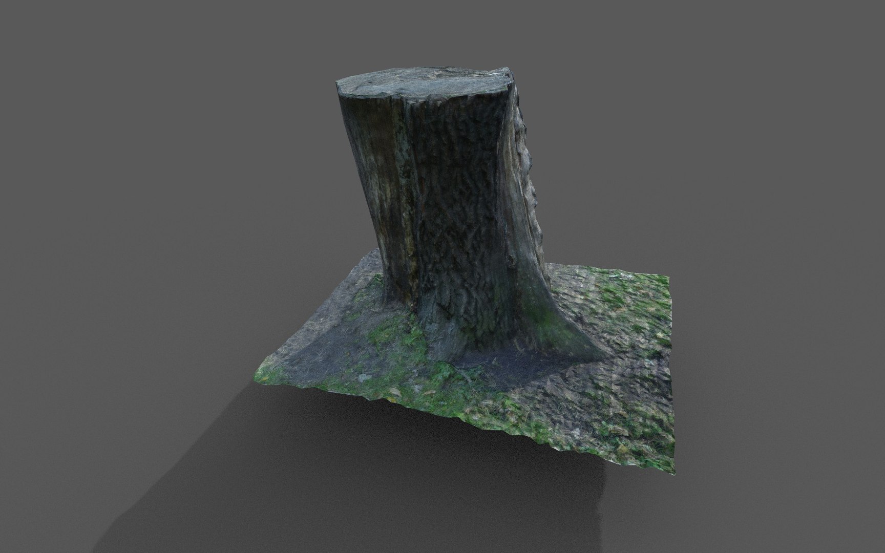 Tree Stump Model - TurboSquid 1631966