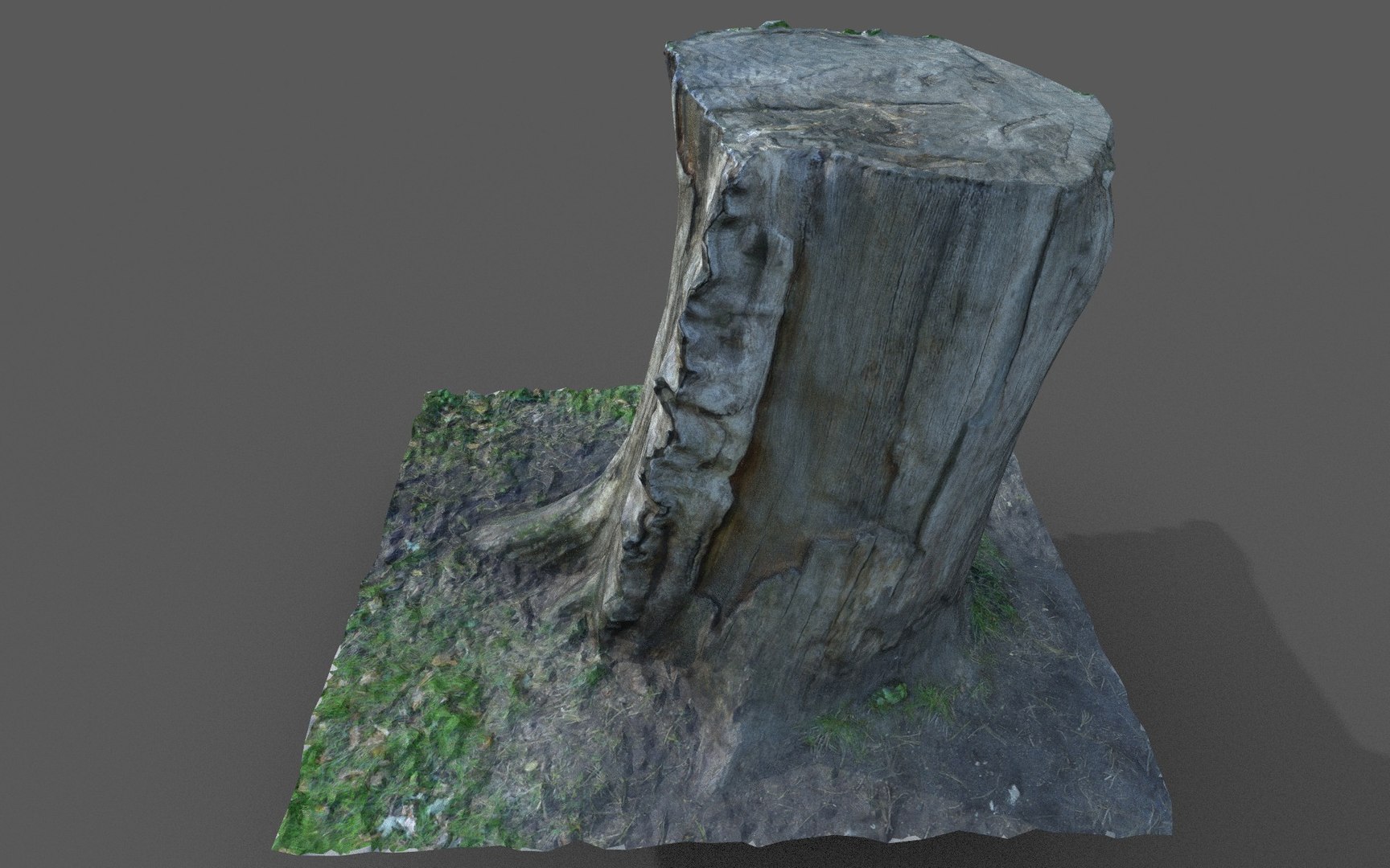 Tree Stump Model - TurboSquid 1631966
