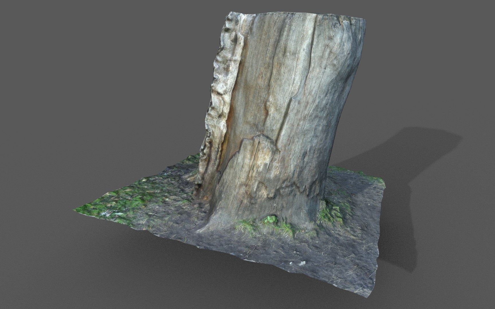 Tree Stump Model - TurboSquid 1631966