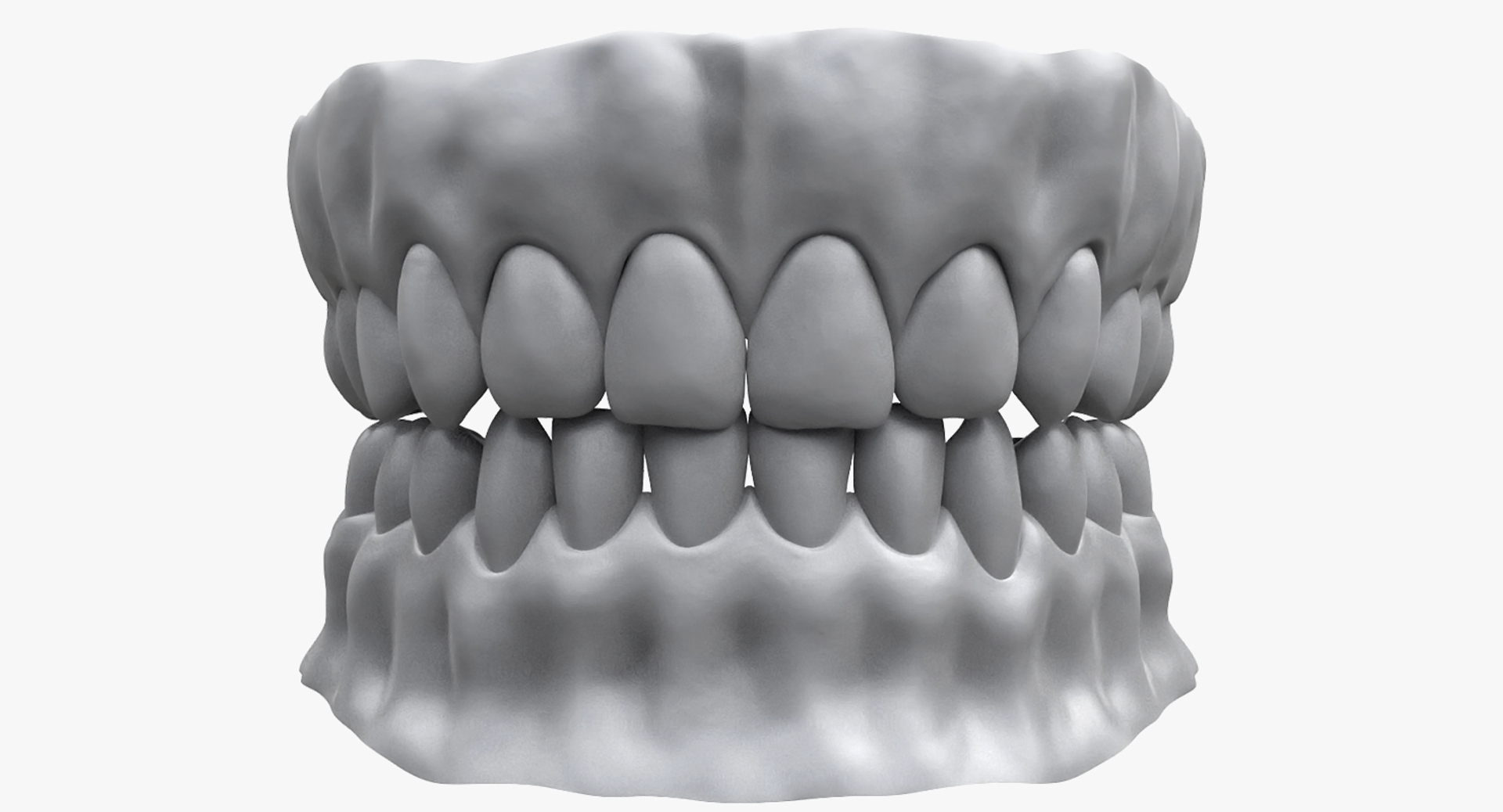 3d Teeth Base Mesh Zbrush