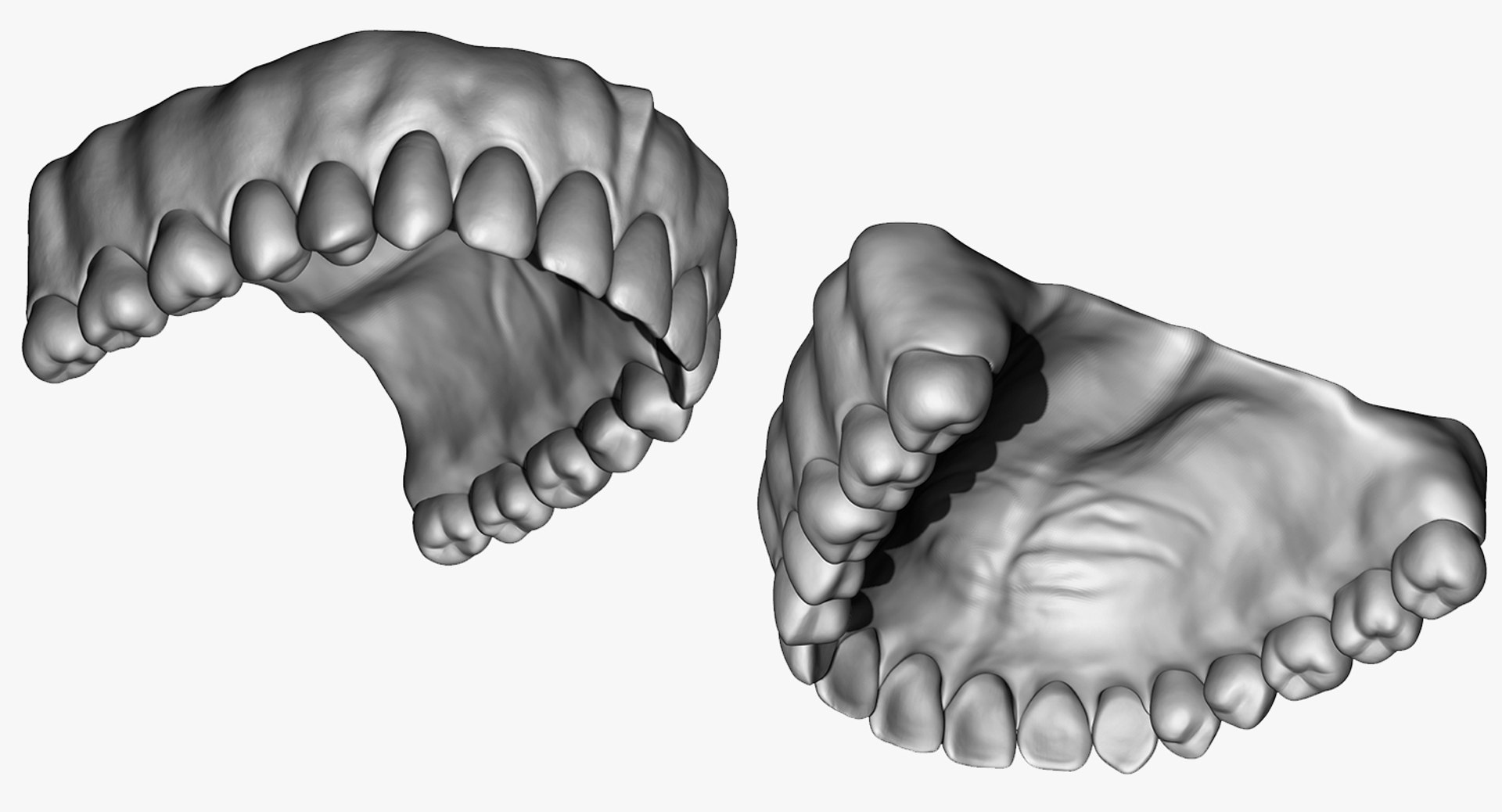 3d Teeth Base Mesh Zbrush