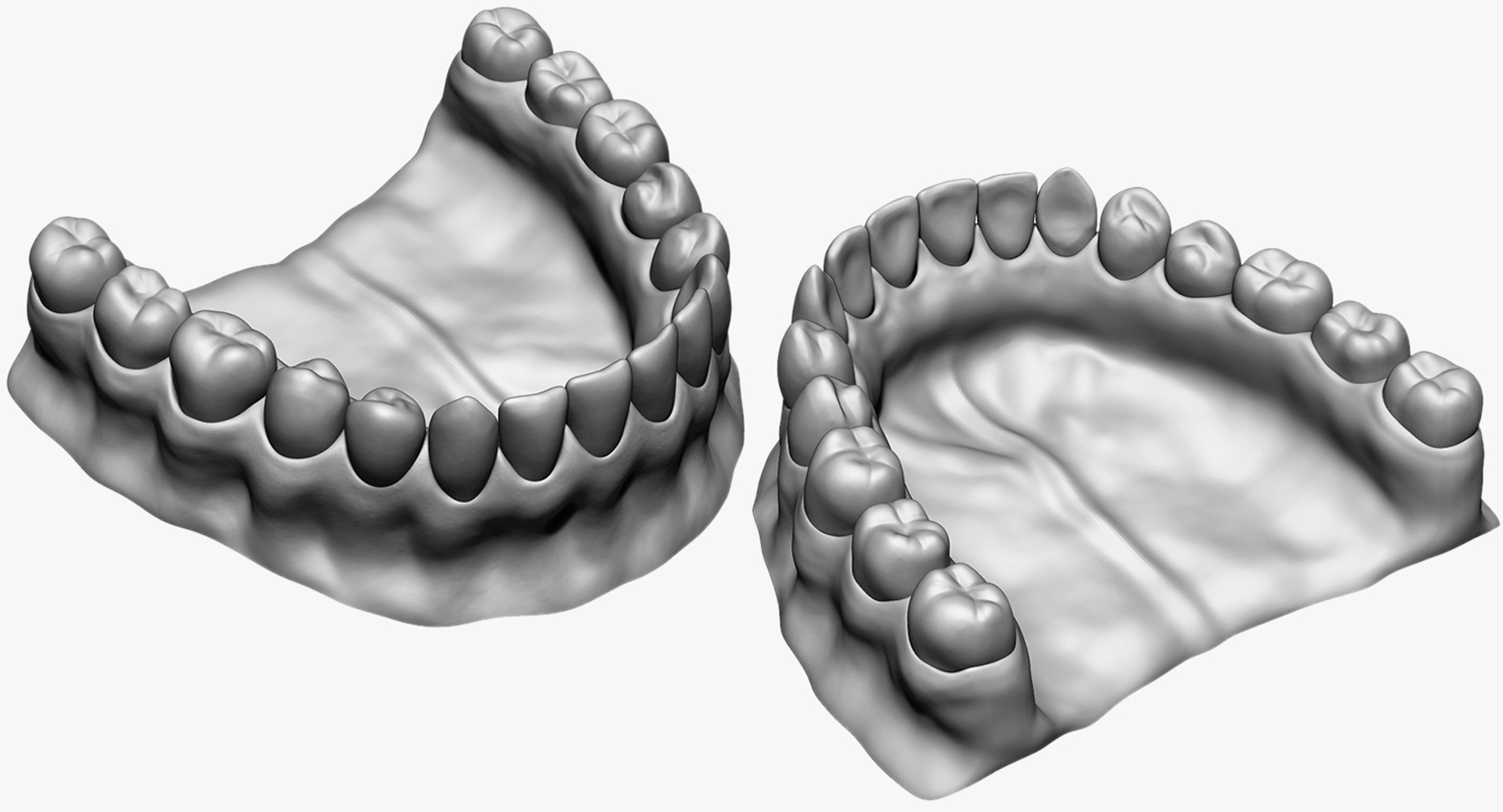 3d Teeth Base Mesh Zbrush