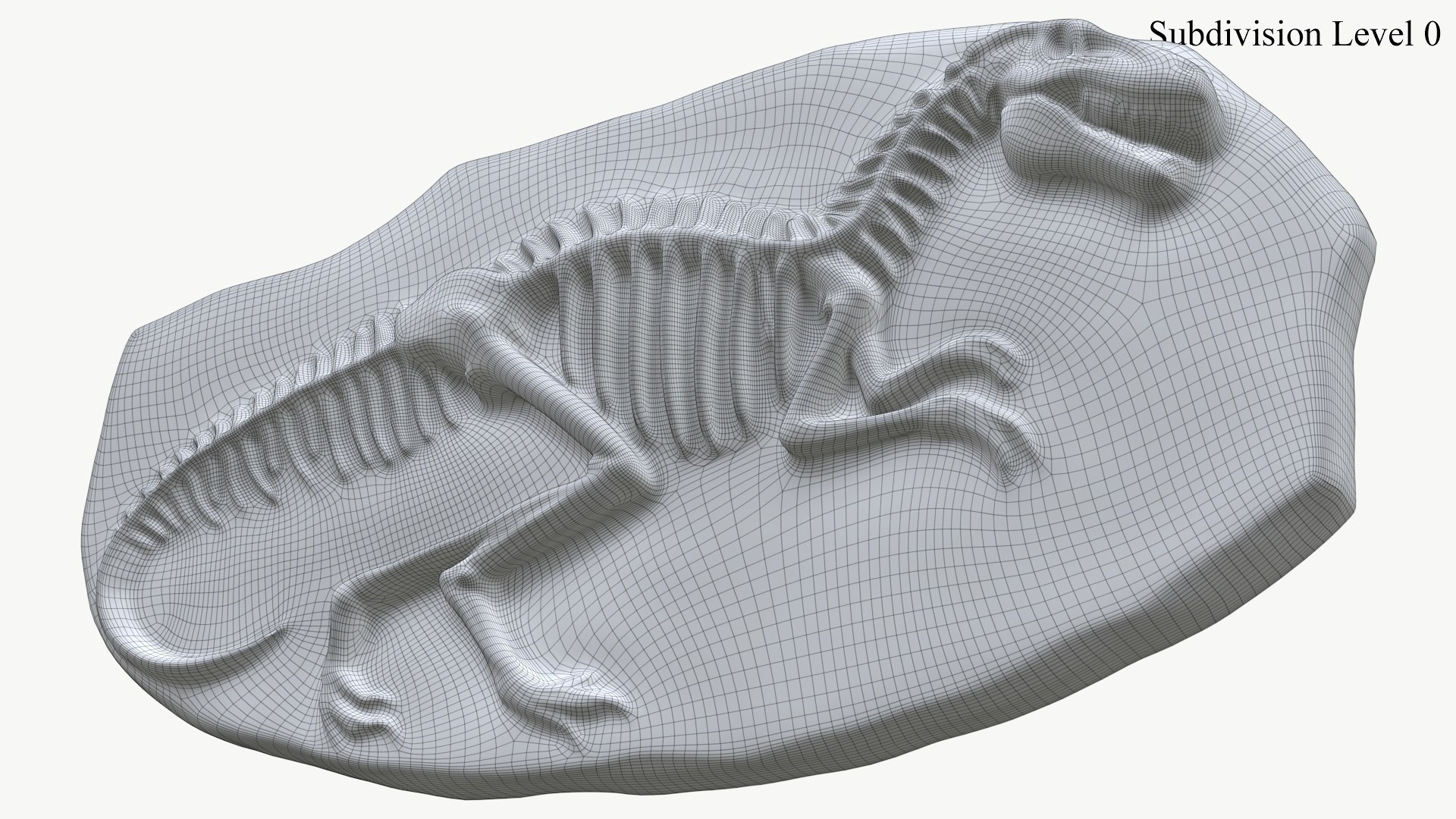3D Dinosaur Fossil Textured 001 - TurboSquid 2293552