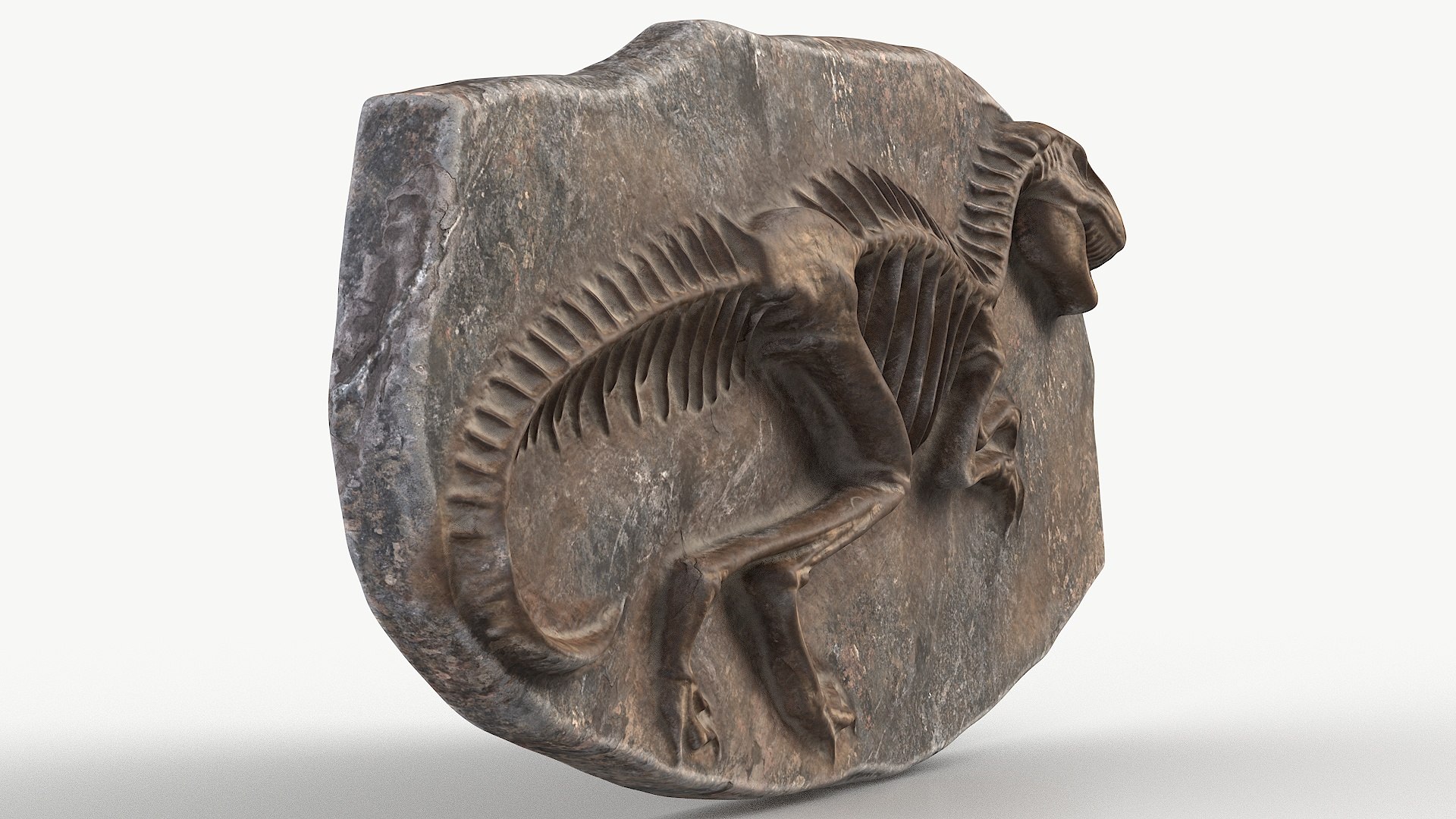 3D Dinosaur Fossil Textured 001 - TurboSquid 2293552