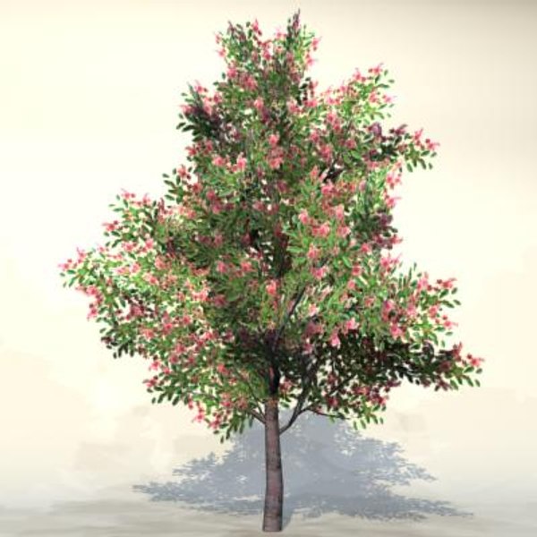 pc tree 3d model