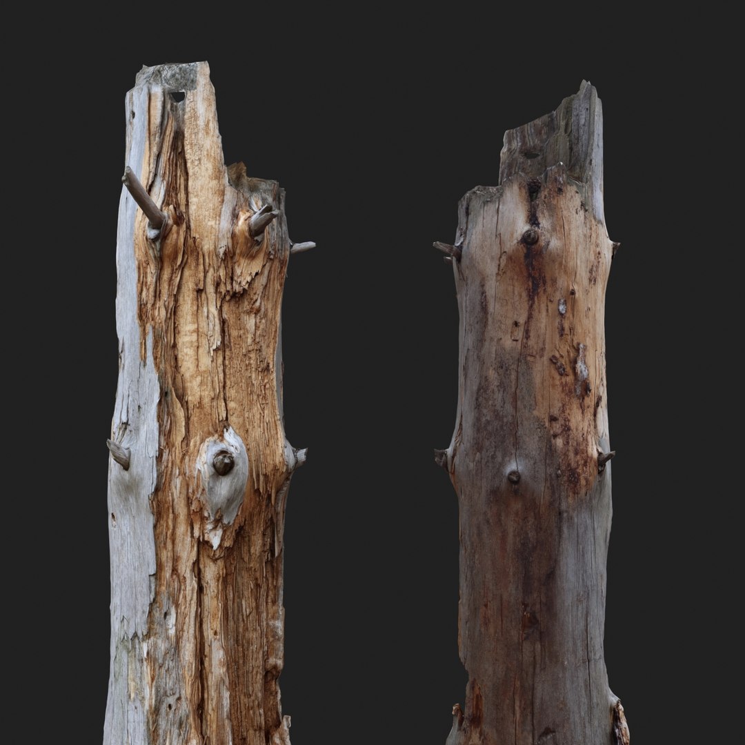 Dead tree scan 3D - TurboSquid 1400653
