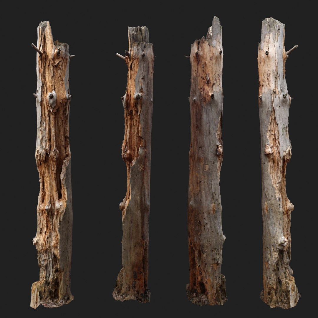 Dead tree scan 3D - TurboSquid 1400653