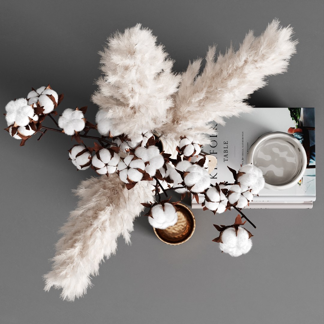 Decorative Set Pampas 3D Model - TurboSquid 1574794