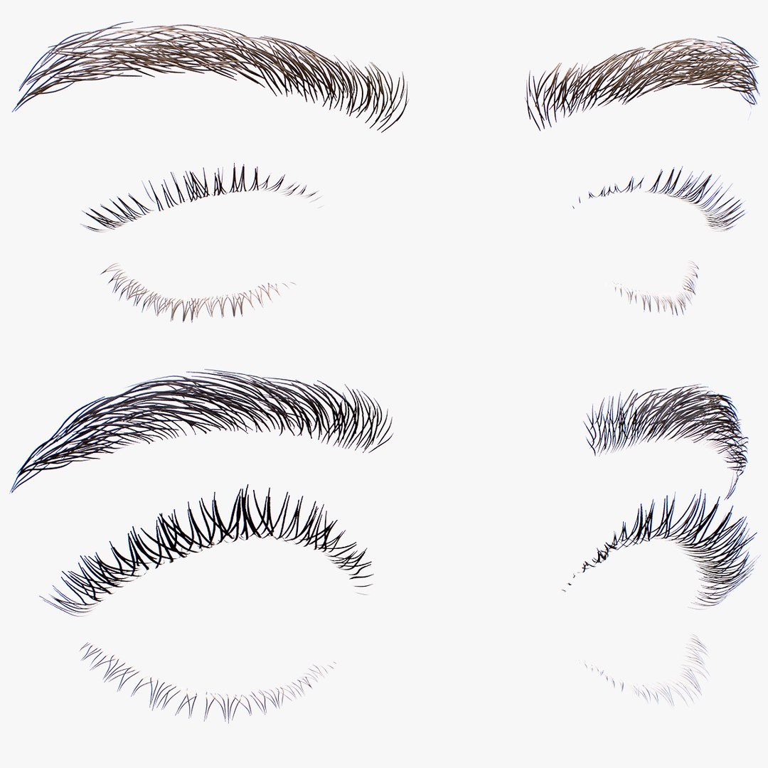 Boy and Girl Eyebrows with Eyelashes 3D model - TurboSquid 1912888