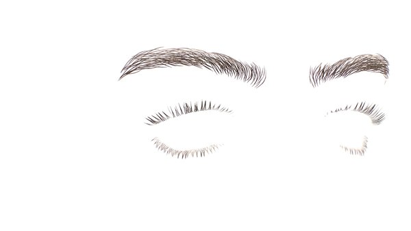 modelo 3d Boy and Girl Eyebrows with Eyelashes - TurboSquid 1912888