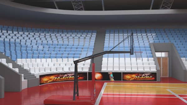 basketball arena ball max