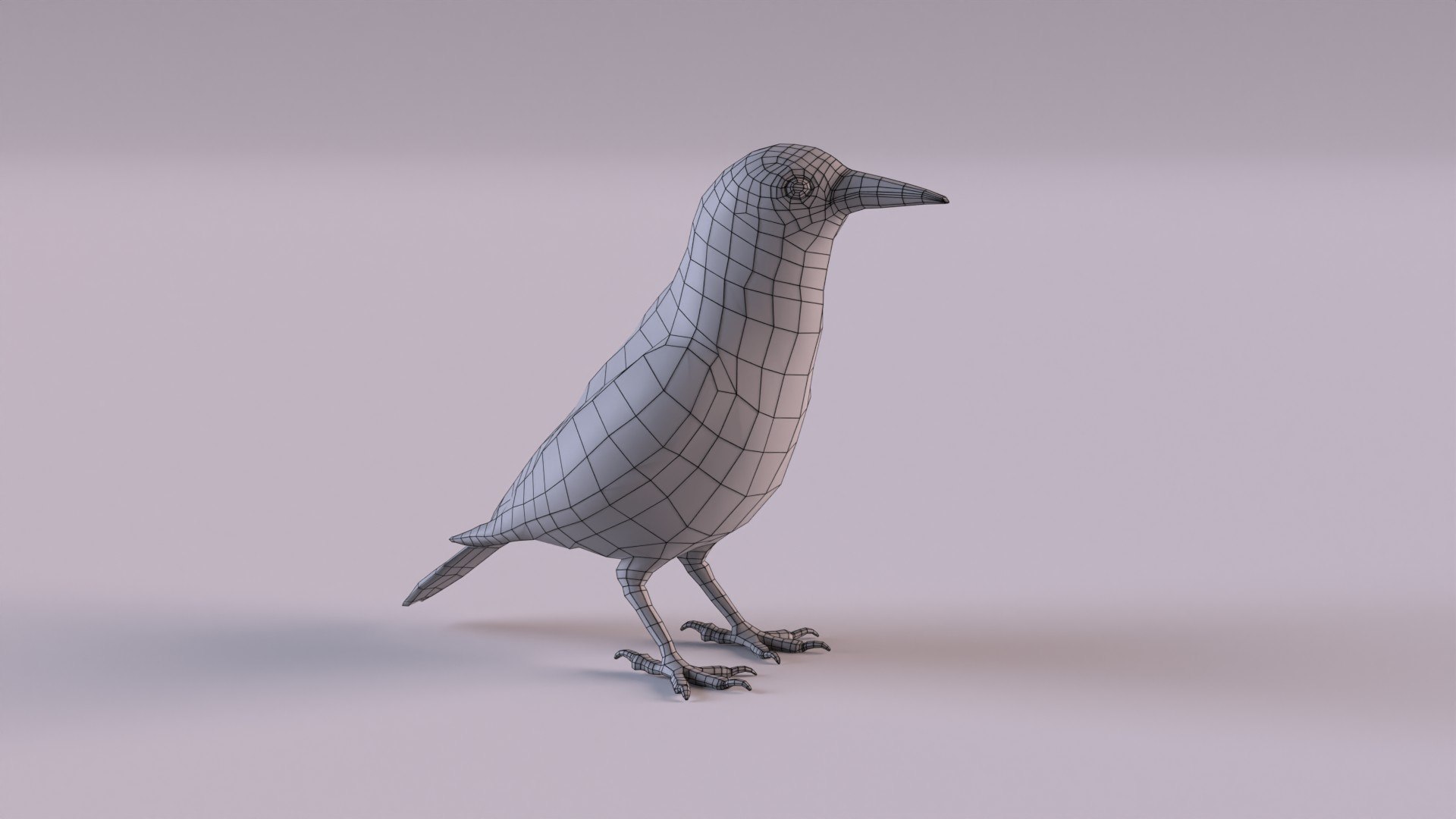 3D Eurasian Nutcracker Bird Model - TurboSquid 1545221
