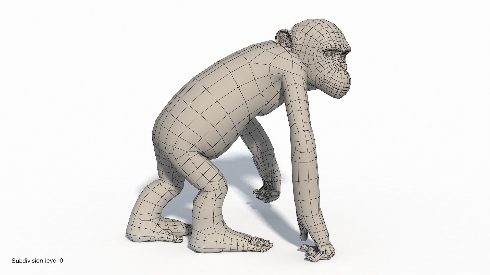 3D Chimpanzee model - TurboSquid 2166193