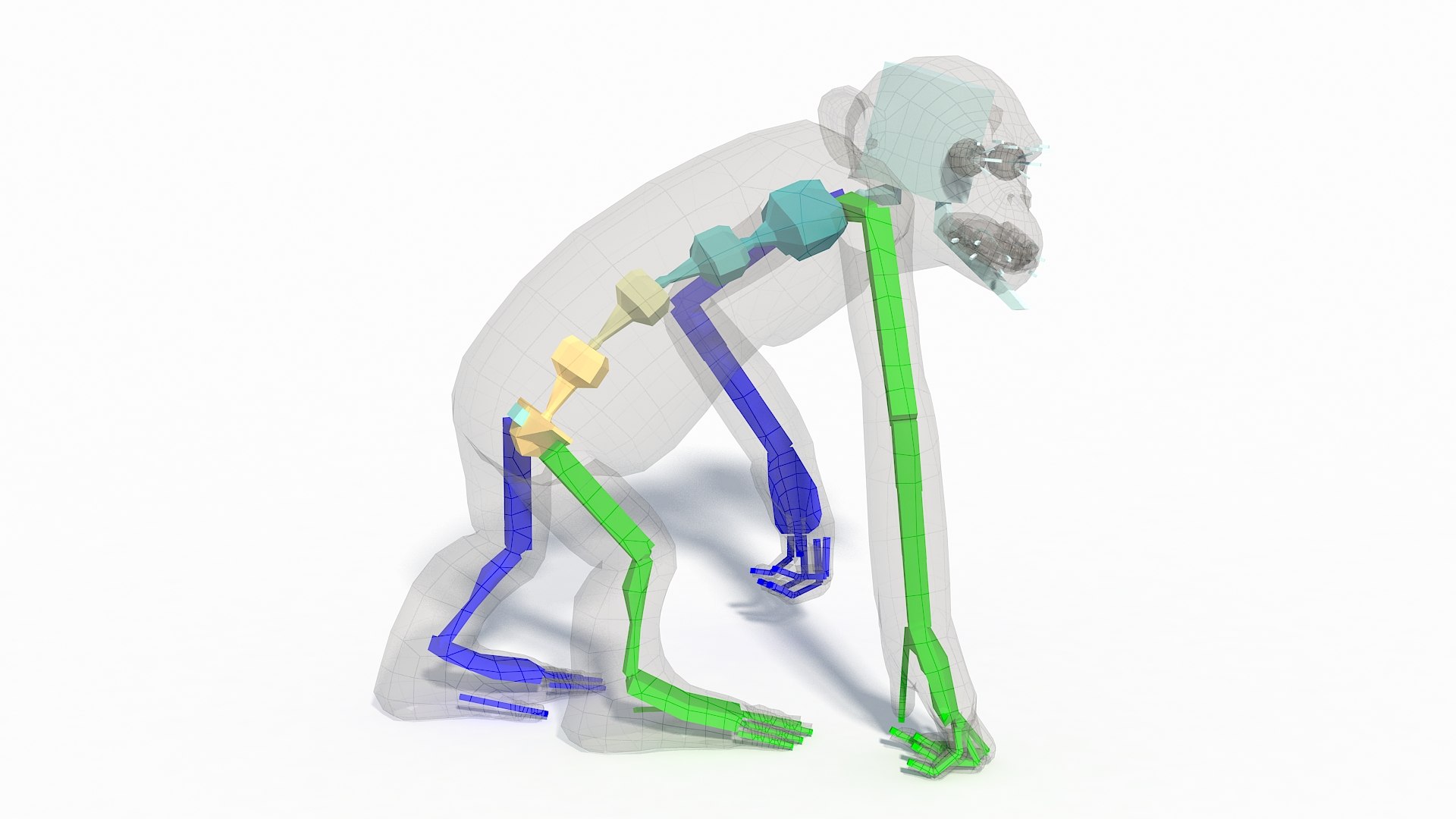 3D Chimpanzee model - TurboSquid 2166193