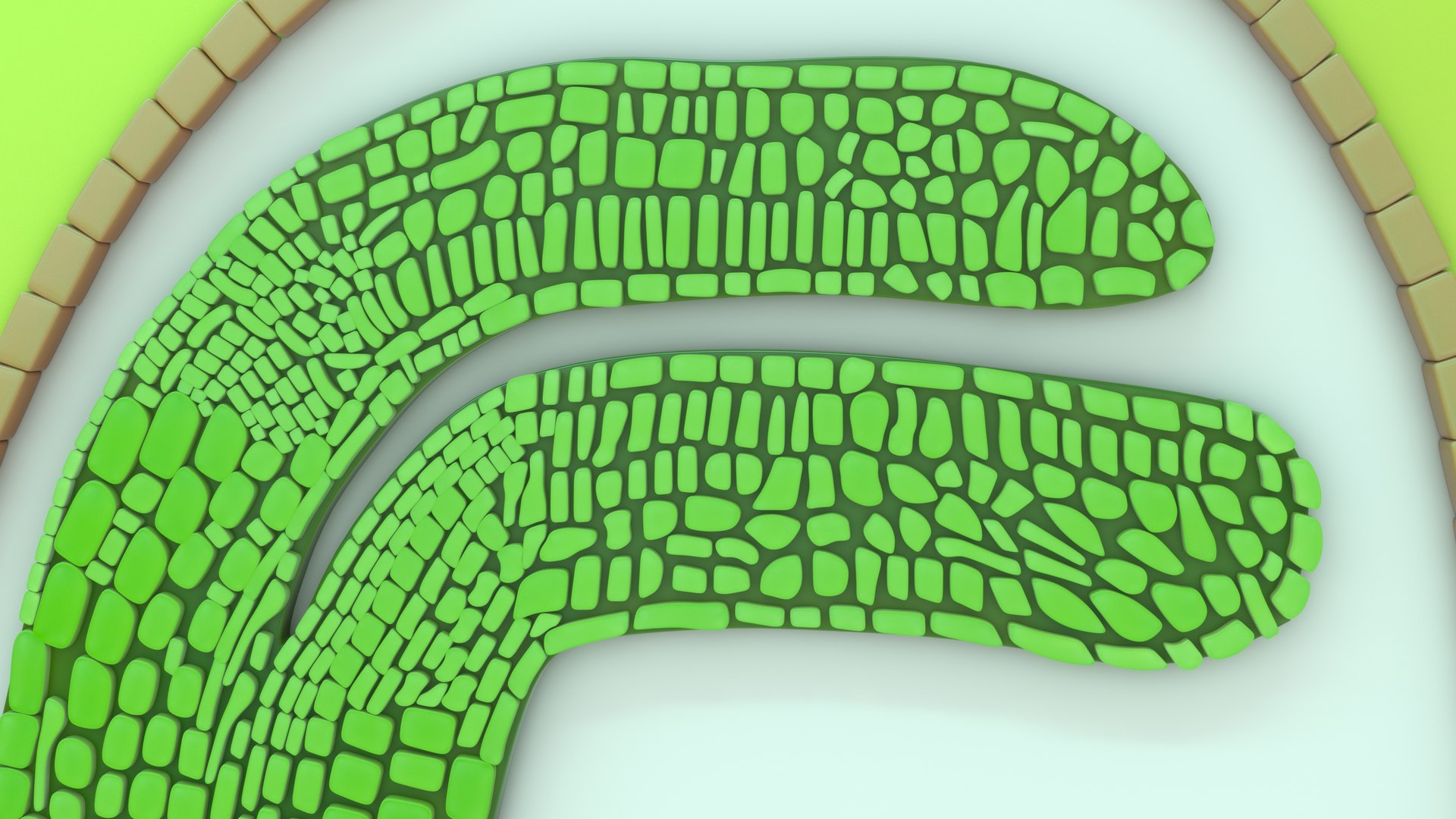 Developing Seed 3D Model - TurboSquid 2206037