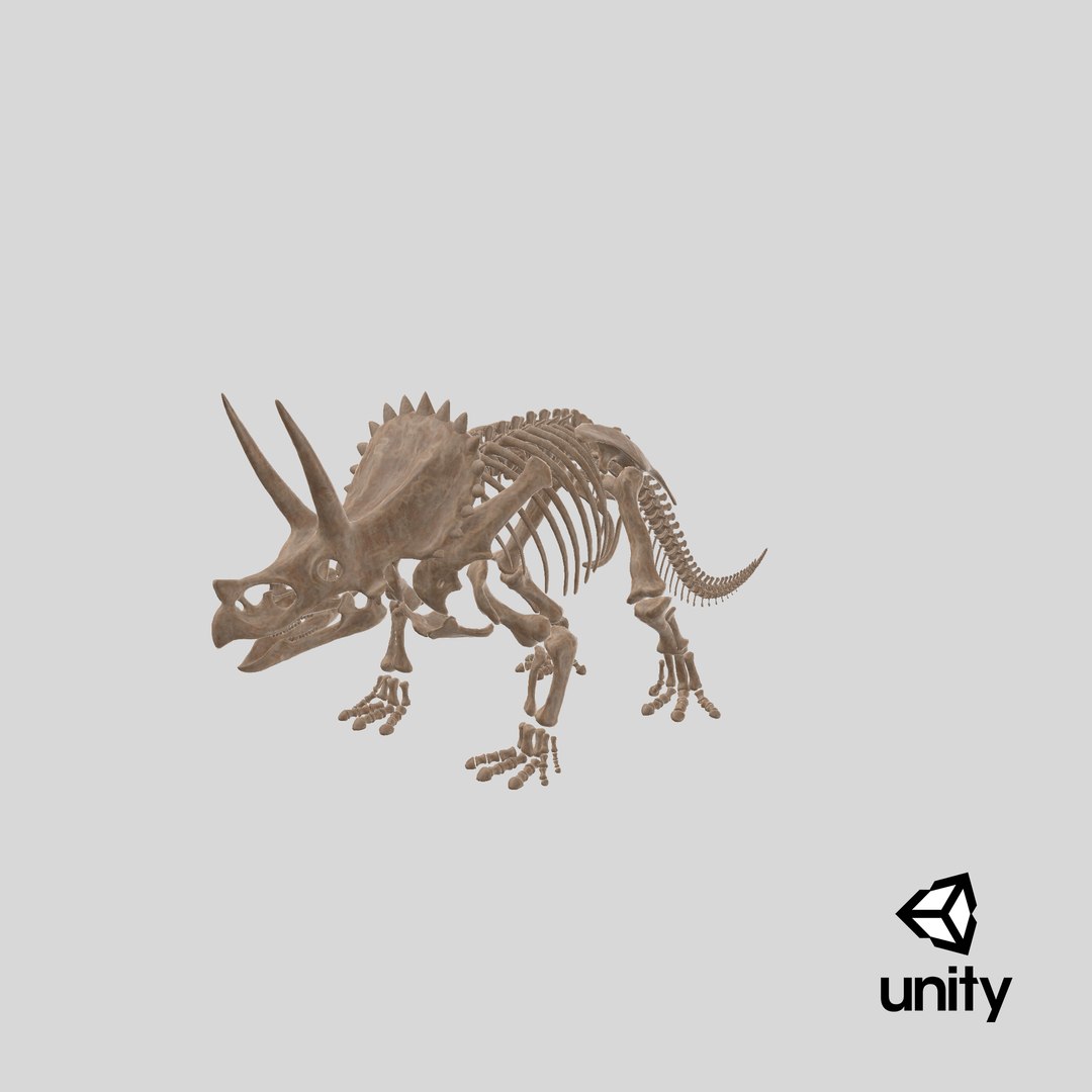 3D triceratops skeleton fossil - TurboSquid 1503424