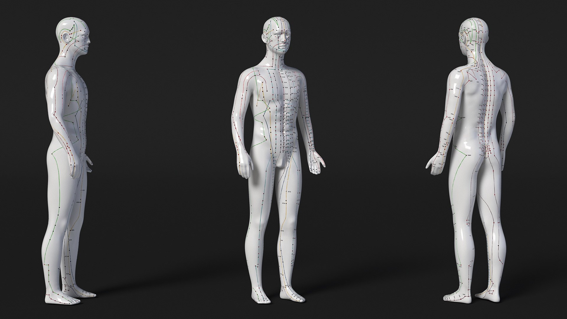 Acupuncture Mannequins Collection 3D Model - TurboSquid 2298931