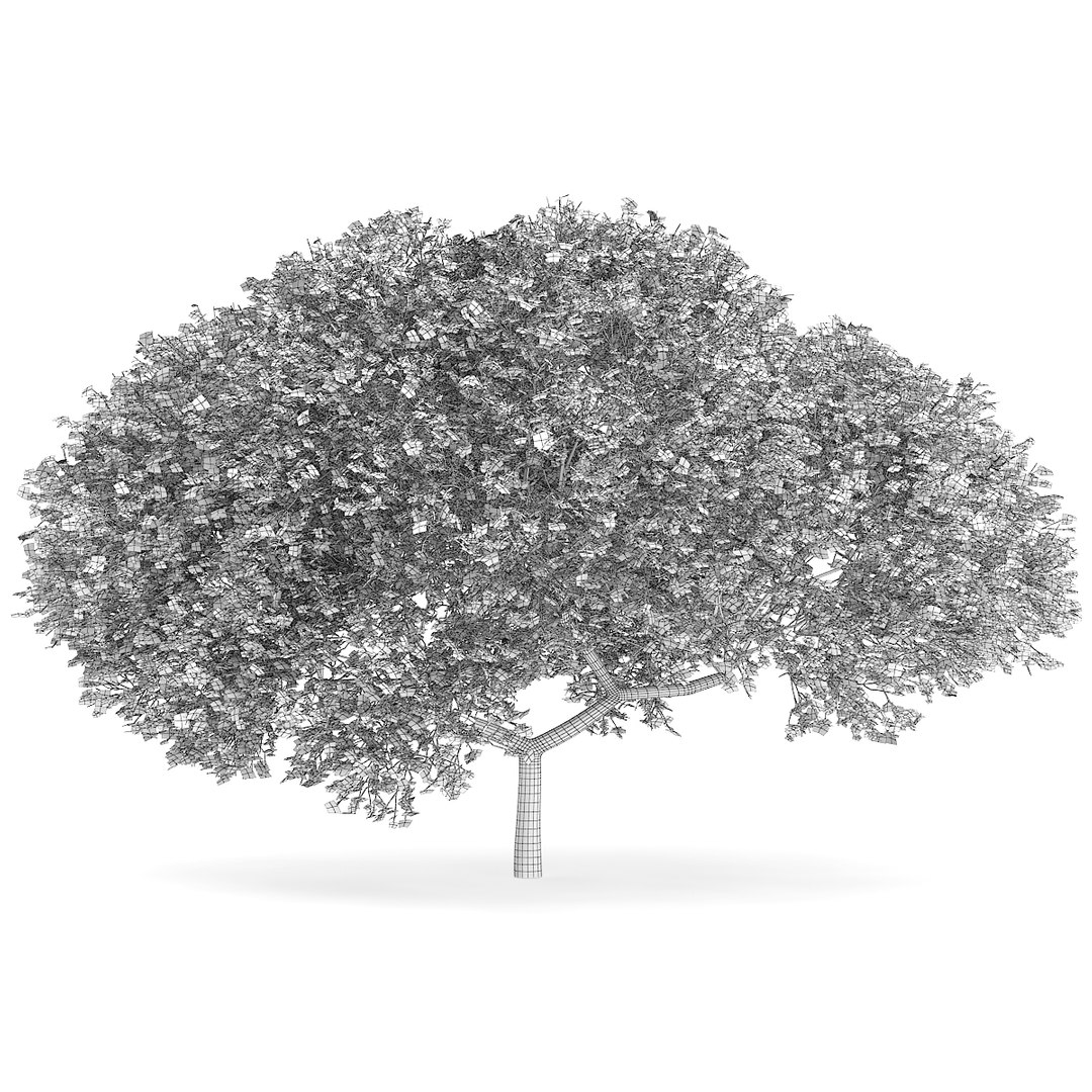 Volume 72 trees ix model - TurboSquid 1163954