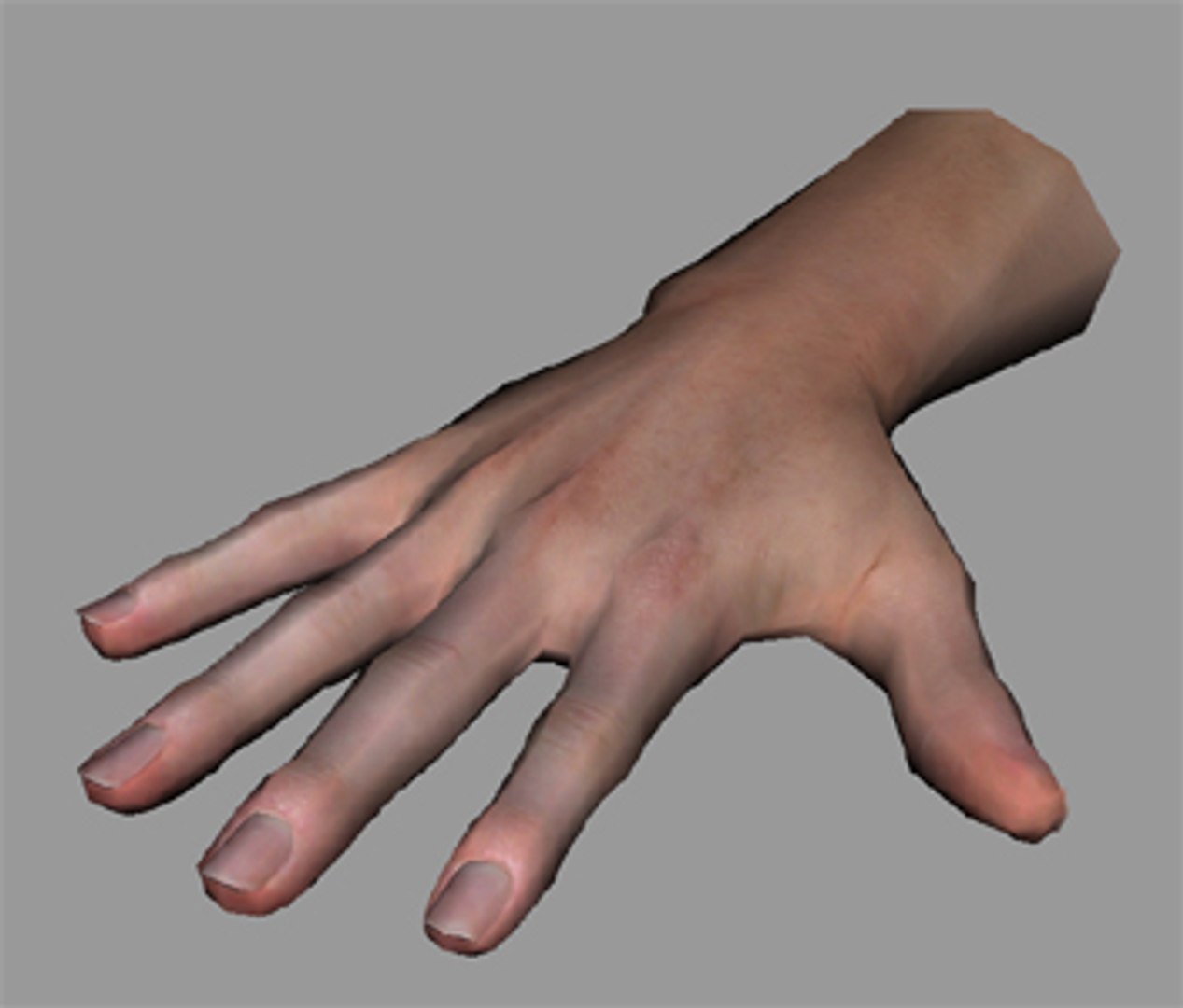 Human Hand 3d Model