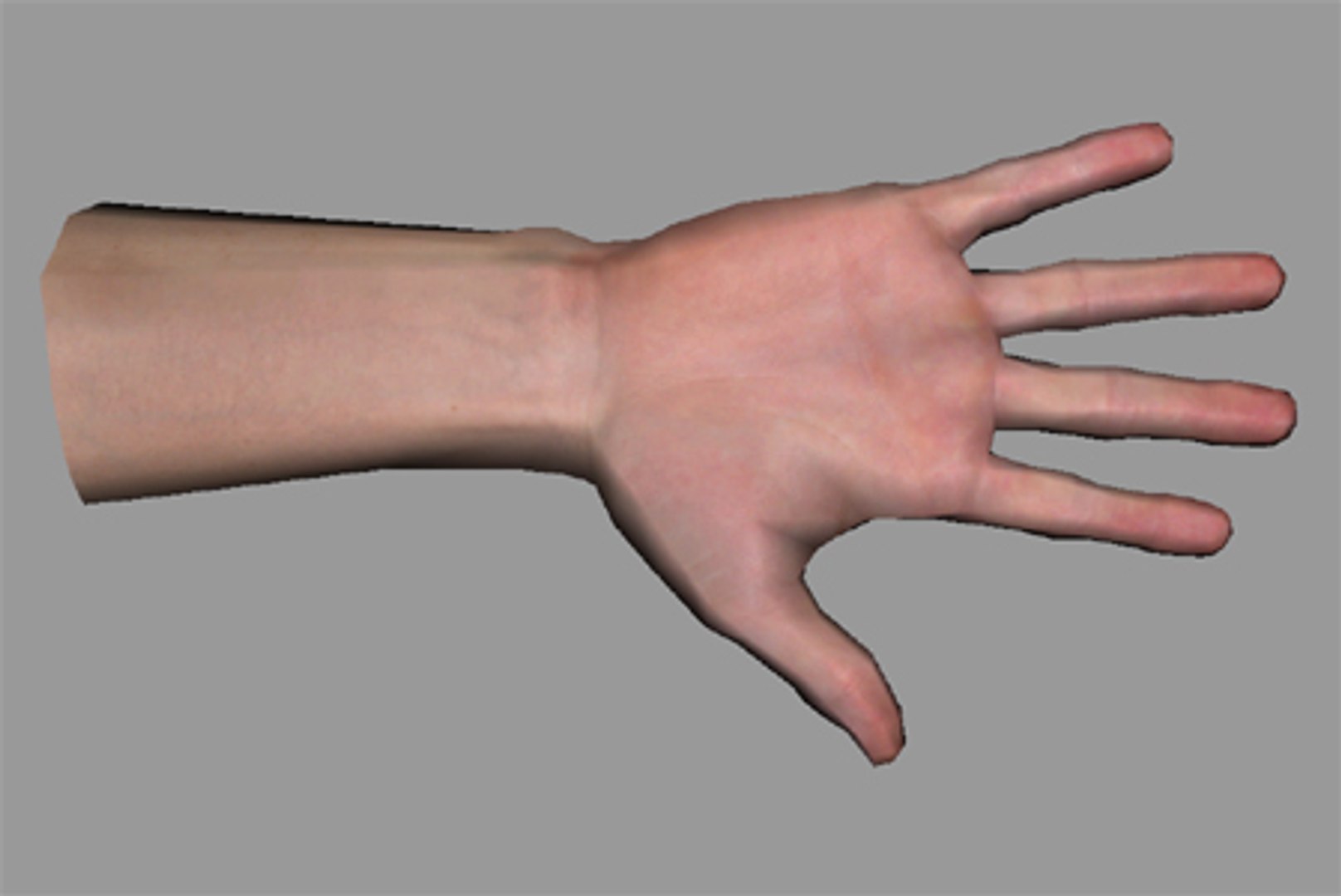 Human Hand 3d Model