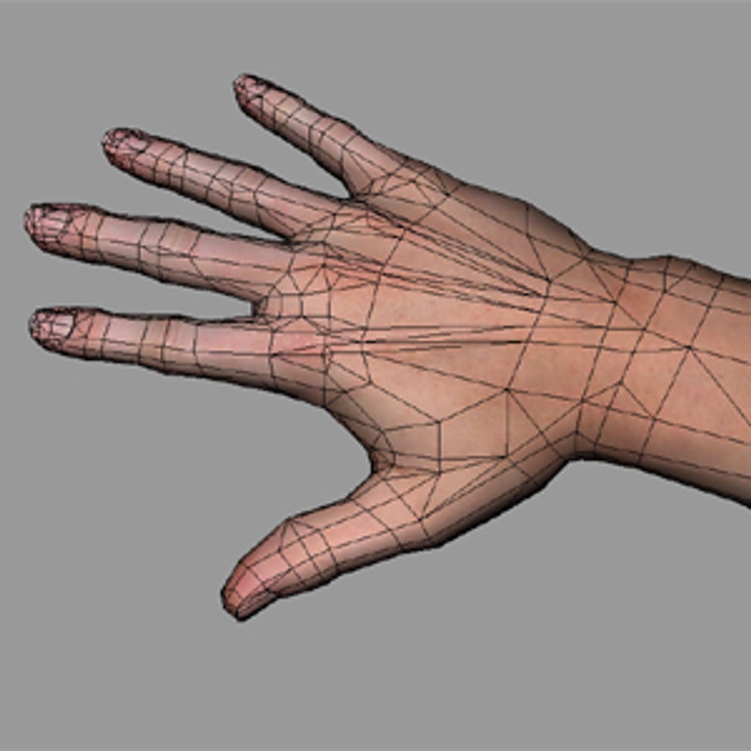 Human Hand 3d Model