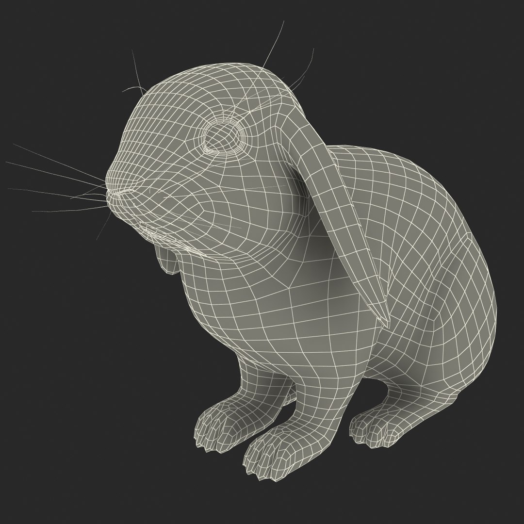 3d Model Rabbit Gray Fur
